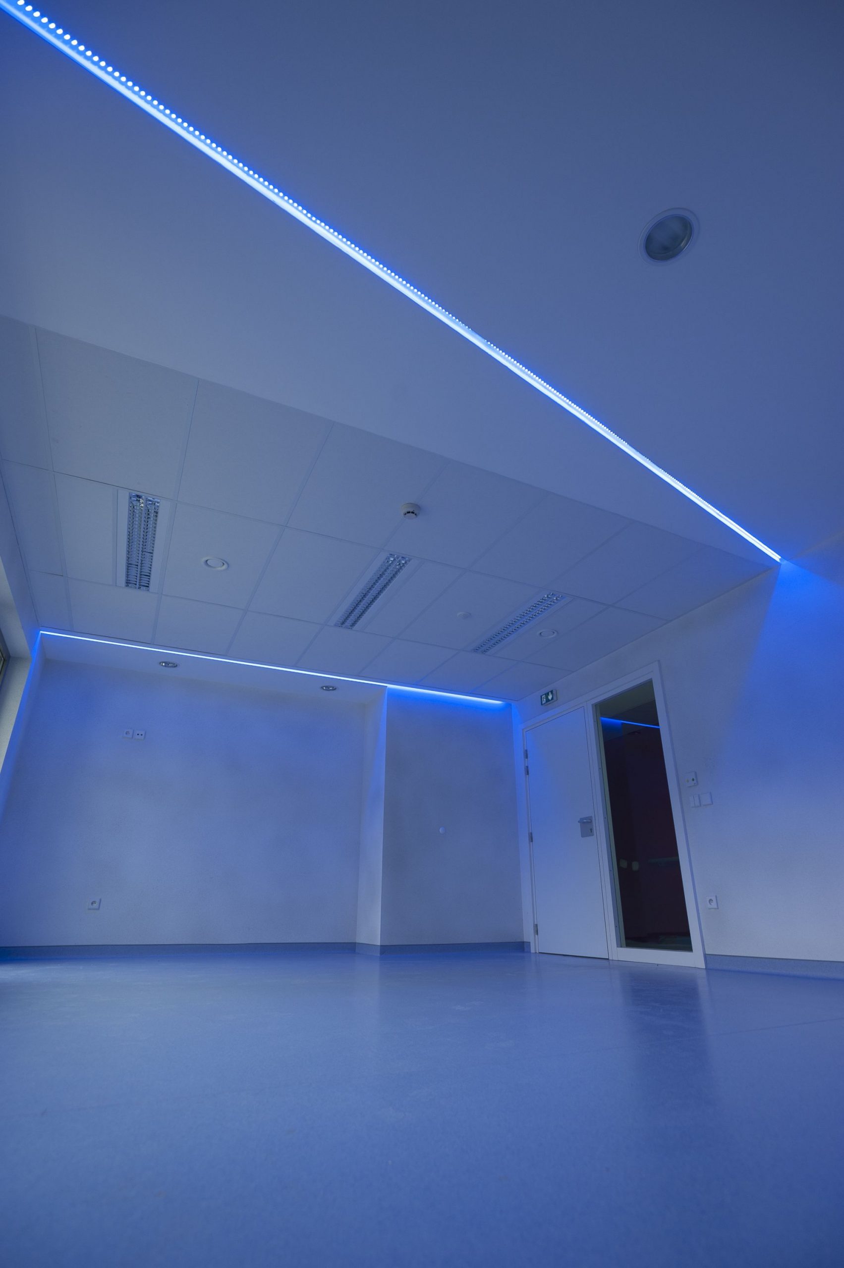 Pourquoi les ampoules LED sont plus économiques ? - Vonthron Eclairages